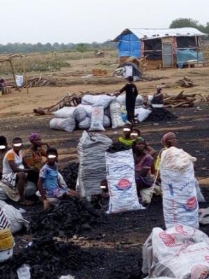 Ghana Faces Deforestation Crisis Amid Unbridled Charcoal Production ...